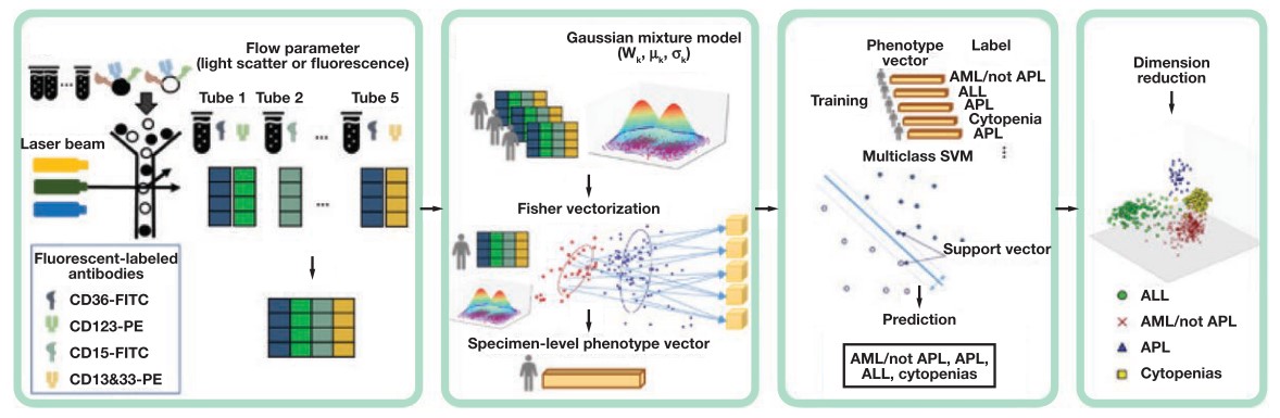 A Machine Learning Approach to the Classification of Acute Leukemias ...